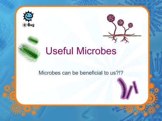 Harmful and Useful Microorganisms Presentation | PPTX