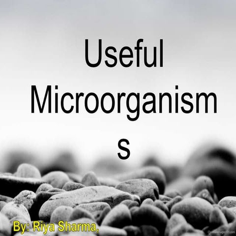 Useful microorganisms | PPTX