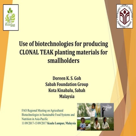 Use of biotechnologies for producing clonal teak as planting materials ...