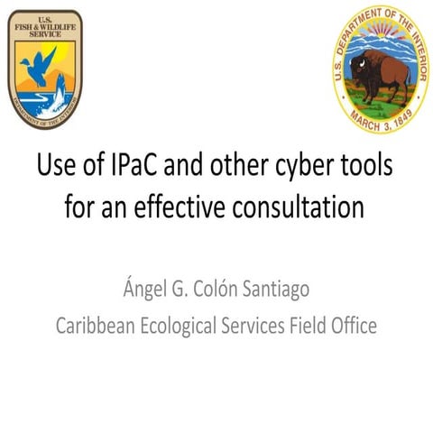 Use of IPaC and other Cyber tools for an effective consultation with ...