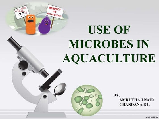 Production of Marine Microbial products. | PDF