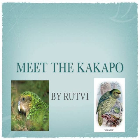 Kakapo Keynote | PDF