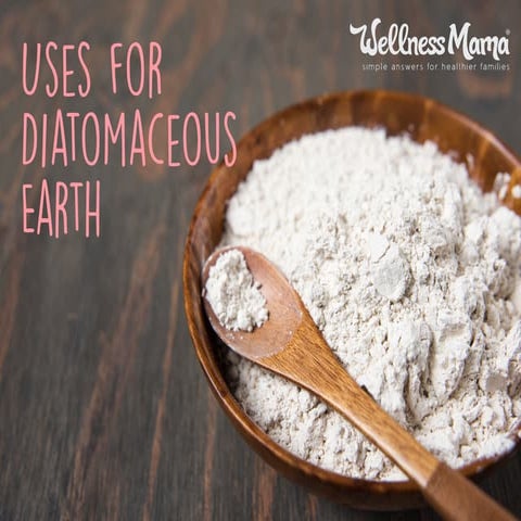 Uses for Diatomaceous Earth | PDF