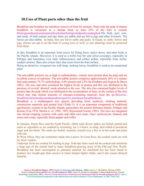 Economic importance of pteridophyte.pptx