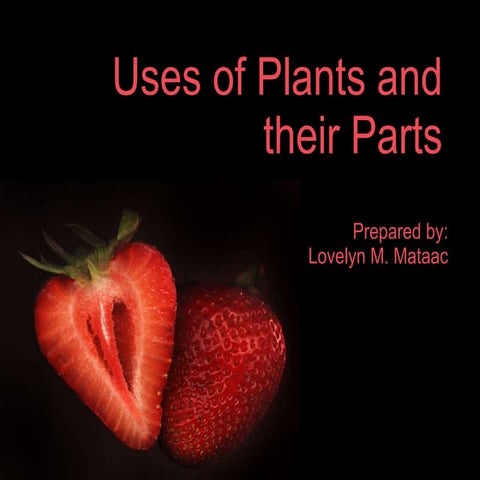 Uses Of Plants, Care For Plants | PPS