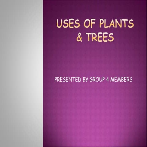 Uses of plants & trees | PPT