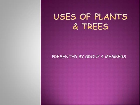 Trees | PPT