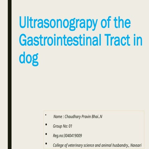 USG GI tract of dog prepare by dr.Pravin Chaudhary.pptx
