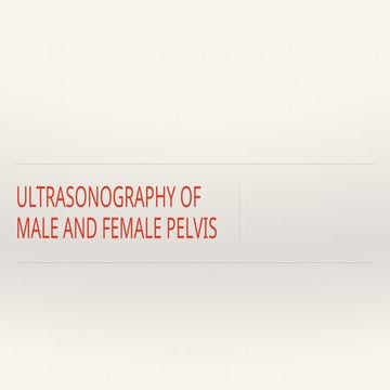 usg of male and female pelvis detail.ppt
