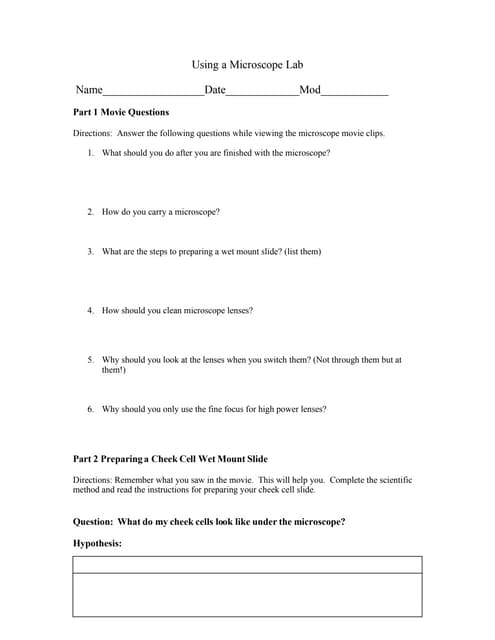 Onion and cheek cell lab | DOC | Biological Sciences | Science