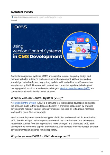 Dms Infosystem, It development