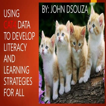 USING CAT4 DATA | PPTX