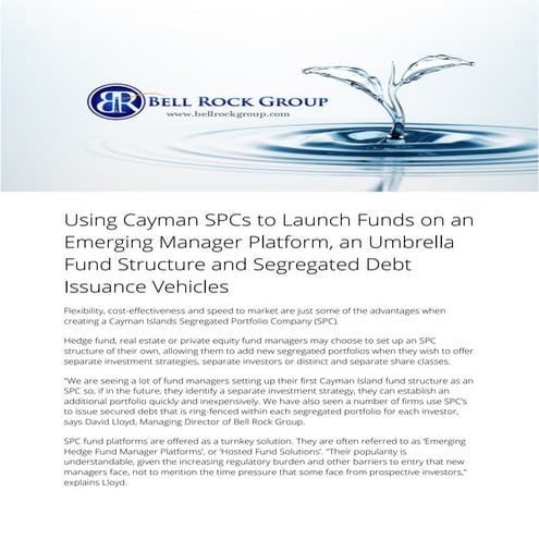 Forming a Cayman SPC - Cayman Fund Structuring | PDF