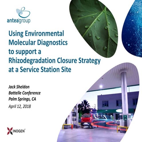 Using Environmental Molecular Diagnostics to support a Rhizodegradation ...