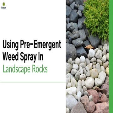 Using Pre-Emergent Weed Spray in Landscape Rocks | PPT