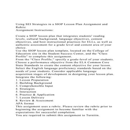 Using SEI Strategies in a SIOP Lesson Plan Assignment and Rubr.docx