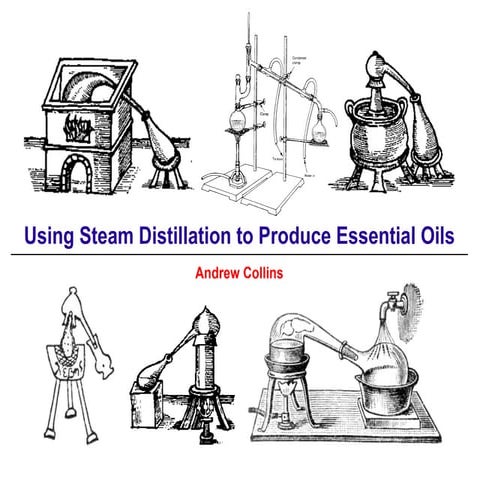 Using Steam Distillation to Produce Essential Oils | PDF
