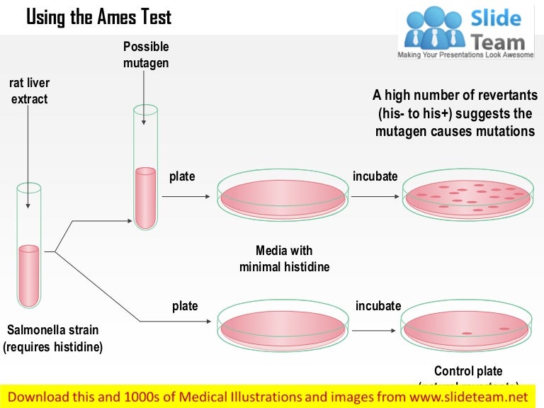 Using the ames test medical images for power point