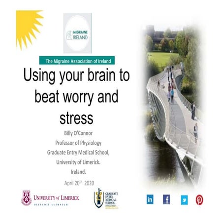 Using Your Brain To Beat Worry and Stress | PDF