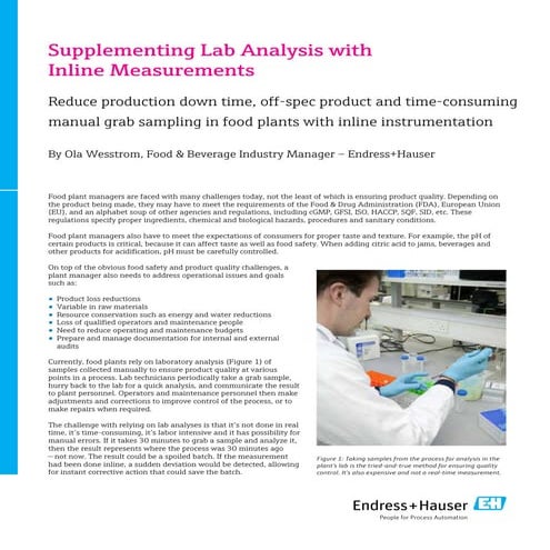 Supplementing Lab Analysis with Inline Measurements | PDF | Indoor ...