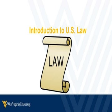 U.S. Law | PPT