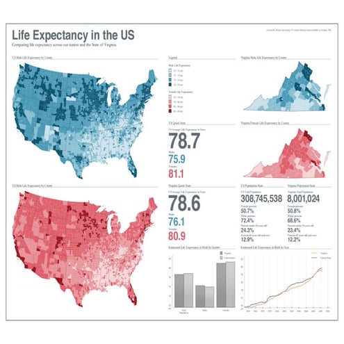 US Life Expectancy Visualization | PPT