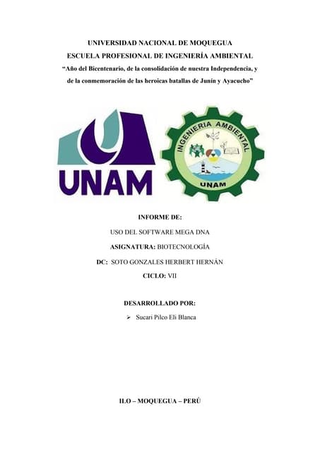 Uso del software MEGA para alineación de secuencias de ADN | PDF
