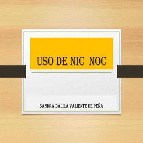 USO DE NIC y NOC.pdf