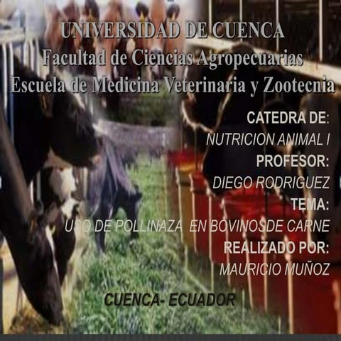 Uso de pollinaza en bovinos de carne | PPTX