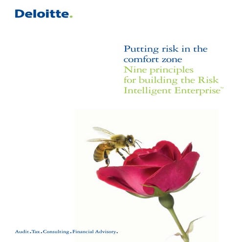 Risk Consulting-Putting Risk In The Comfort Zone | PDF