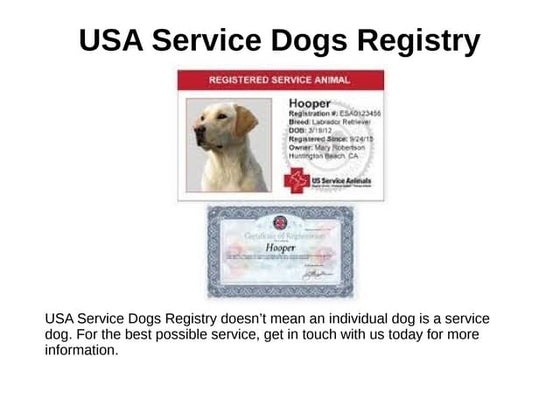 Service dog id | PPT