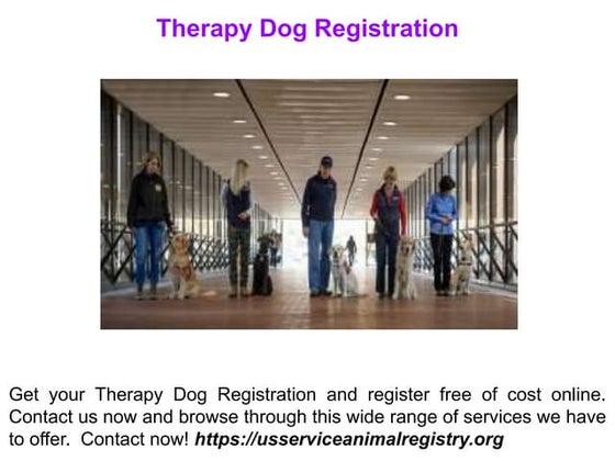 Service dog laws | PPT