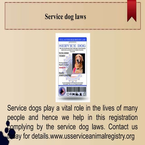 Service dog laws | PPT