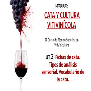 UT 2. Fichas de cata. Tipos de análisis sensorial. Vocabulario de la ...