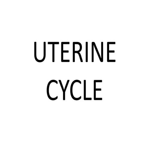 uterine cycle.pptx