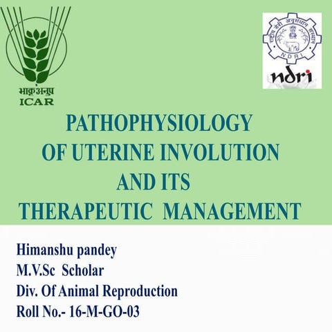 pathophysiology of uterine involution and its therapeutic management | PPTX