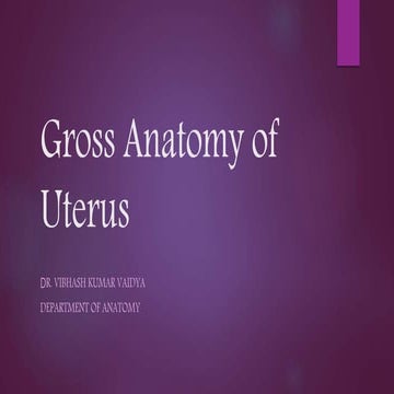 Anatomy of cervix | PPTX