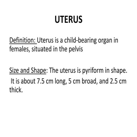 Gross Anatomy of Uterus | PPTX