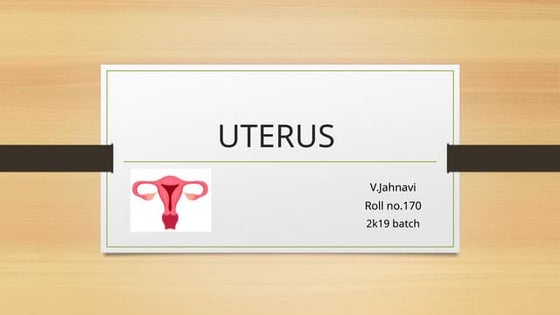 Gross Anatomy of Uterus | PPTX