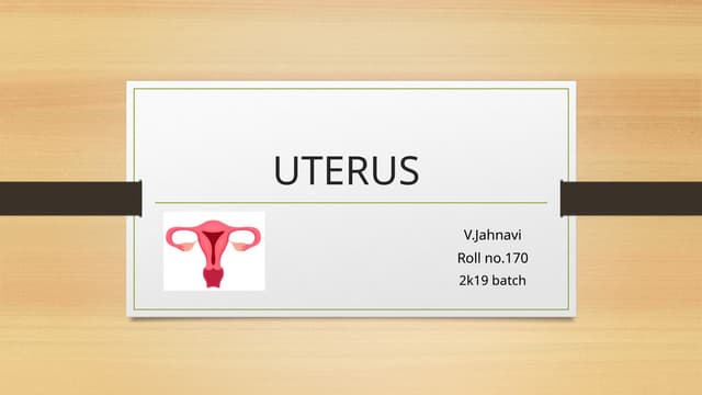 Gross Anatomy of Uterus | PPTX