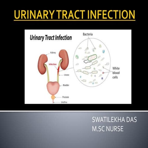 Urinary Tract Infection with Nursing Management | PPTX