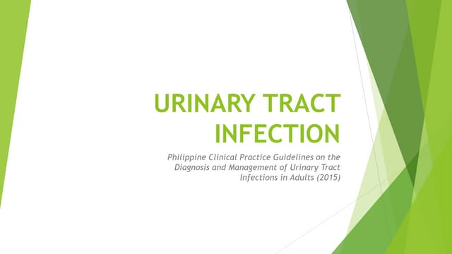 a case study on urinary tract infection ( UTI) | PPTX