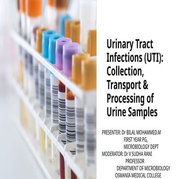 Urine Sample Collection, Transport & Microbiological Processing: A Step ...