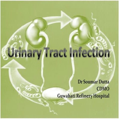 UTI- Urinary Tract Infection | PPT