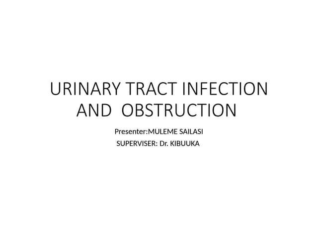 COMMUNITY HEALTH NURSING DIAGNOSIS | PPTX | Physical Therapy | Wellness