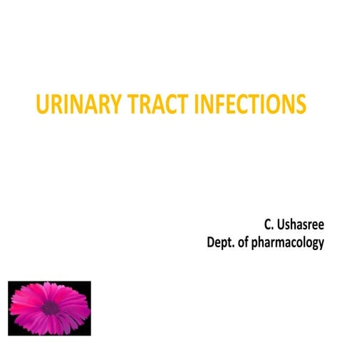 Urinary Tract Infection (UTI) | PPT