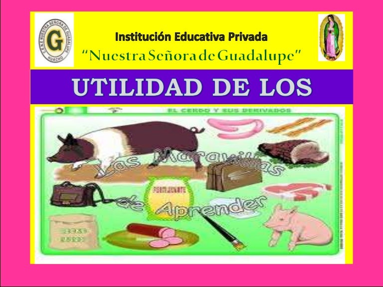 Utilidad de los animales 1º