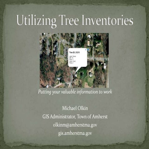 Utilizing Tree Inventories | PPTX