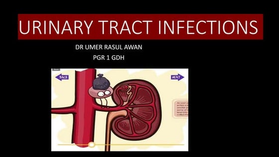 Urinary Tract Infection-Clinical Practice Guidelines-2023.pdf