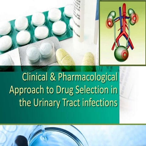 Treatment of Urinary Tract Infections | PPTX